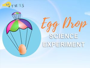 27 Easy Kids Science Experiments for Home and School [Fun Experiment Ideas]
