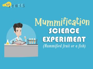 27 Easy Kids Science Experiments for Home and School [Fun Experiment Ideas]