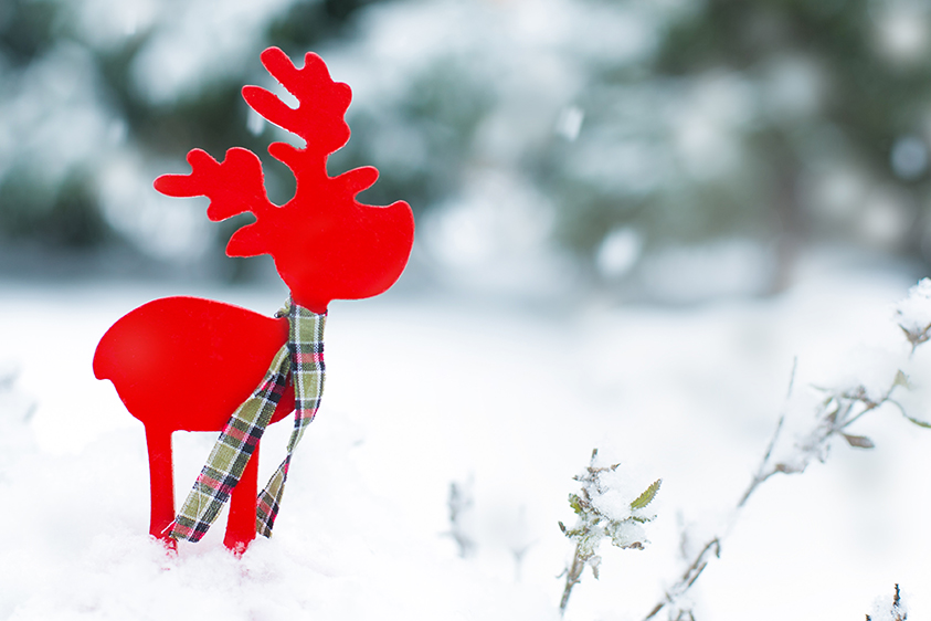 Reindeer Theme for Kids - Kids Activities